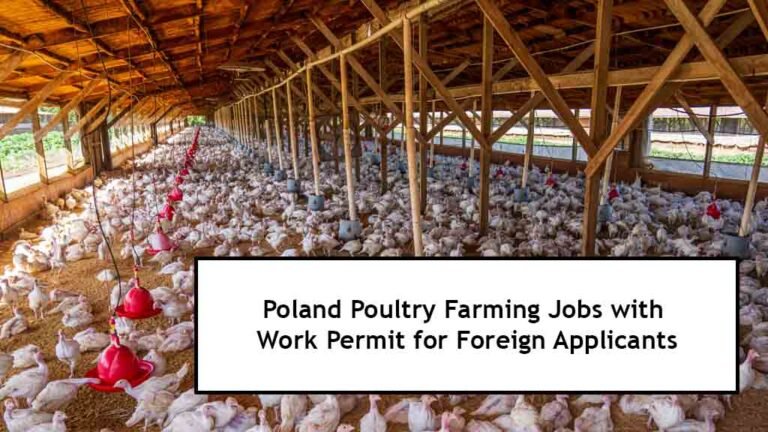 Poland Poultry Farming Jobs with Work Permit for Foreign Applicants
